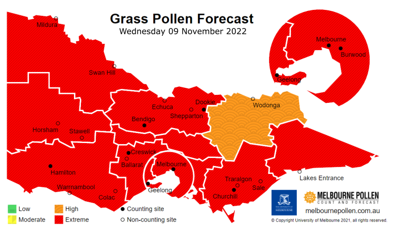 Extreme Pollen Forecast Tomorrow - Melbourne Pollen